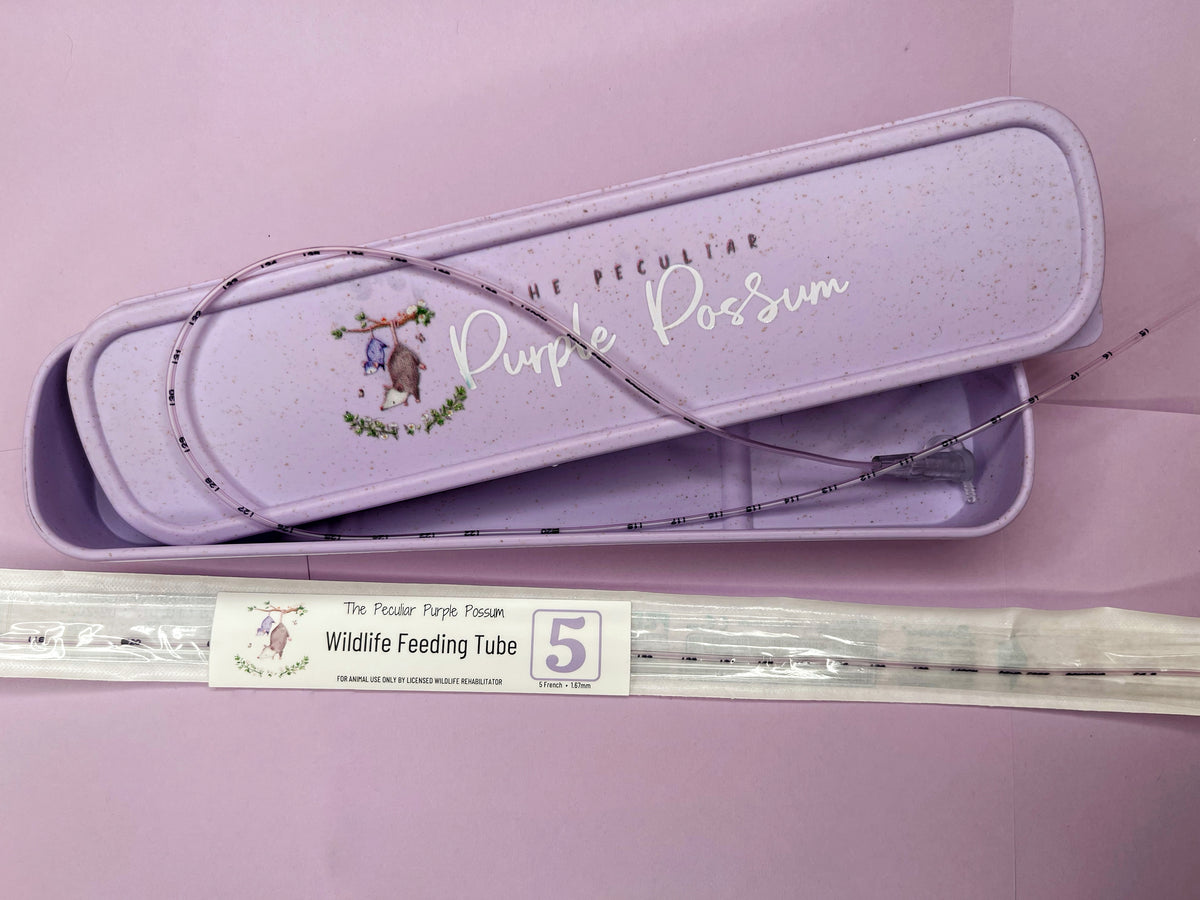 5fr Peculiar Purple Possum Feeding Tube – The Peculiar Purple Possum